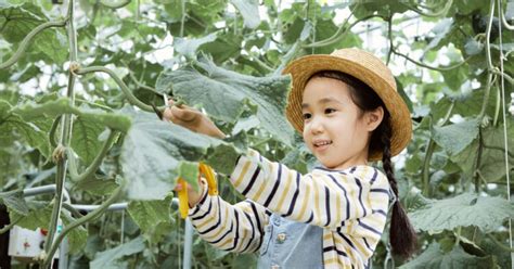 농사지으며 몸도 마음도 치유할 수 있다는데
