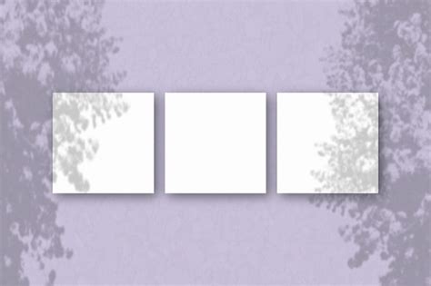 라일락 벽 배경에 흰색 질감 종이 3 평방 시트 식물 그림자가 있는 모형 오버레이 자연광은 이국적인 식물에서 그림자를 투사합니다 플랫 레이 상단 보기 0명에 대한 스톡 벡터