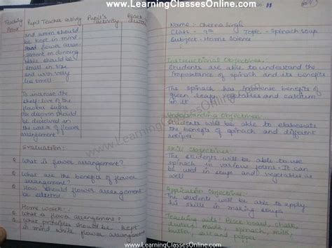 Home Science Lesson Plan Class