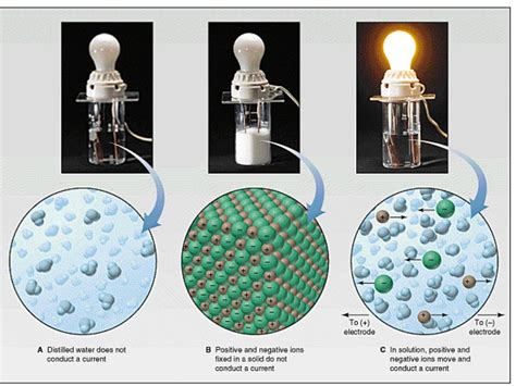 Ppt Aqueous Solution Reactions Powerpoint Presentation Free Download Id 159152