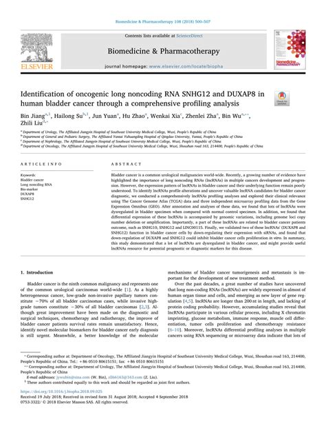 Pdf Identification Of Oncogenic Long Noncoding Rna Snhg12 And Duxap8 In Human Bladder Cancer
