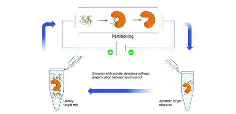 Neceem Based Non Selex Method Lisi Et Al 2018 Download Scientific Diagram