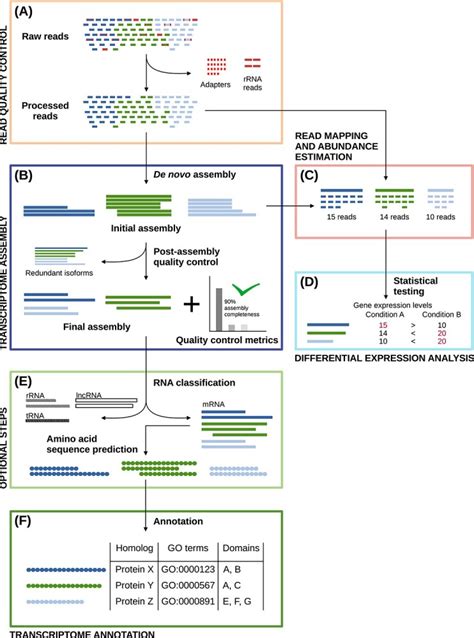 A Simple Guide To De Novo Transcriptome Assembly And Annotation Pmc