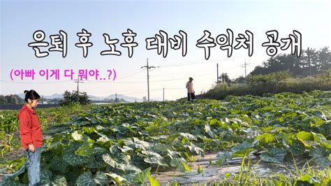 은퇴후 아빠가 노리고 있는 노후 대비 수익처 공개합니다 은퇴 후 소득 은퇴 후 투자 은퇴 후 시골살이 Youtube