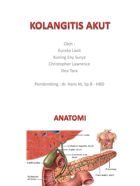 Kolangitis Akut Pdf