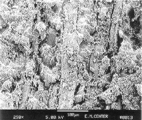 Sem Analyses Showing Surface Of Sheet Type D With Delamination