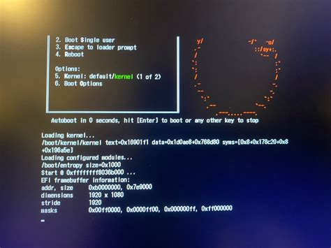 syscons to disable freebsd crashed the freebsd forums