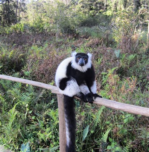 El Secreto De Este Joven De 28 Años Para Recorrer Los 193 Países Con 25 Dólares Por Día Infobae
