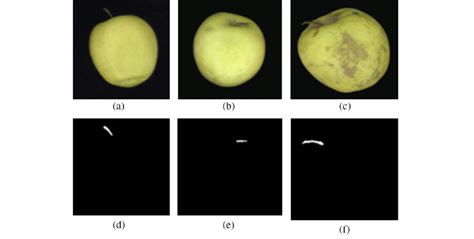 Results Of The Proposed Stem End Detection Algorithm For Sample Images
