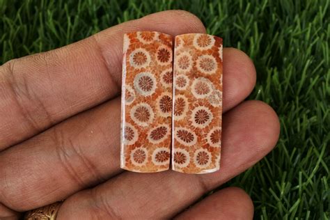 Coral Agate Pair Agate Rock Agate Stone Malachite Gemstone Mohs Scales Of Mineral Hardness