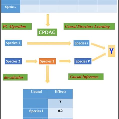 Schematic Flowchart Showing The Main Steps Of The IDA Method Download Scientific Diagram