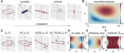 Mapping Polarization To Amplitude A An Arbitrary Input Polarization Download Scientific