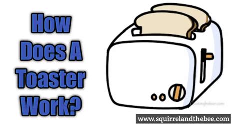 How Does A Toaster Dial Work At Mildred Mcnutt Blog
