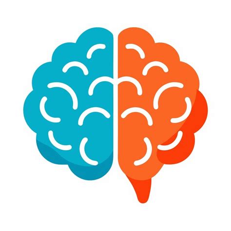 Abstract Brain Illustration With Colorful Hemispheres Premium Ai