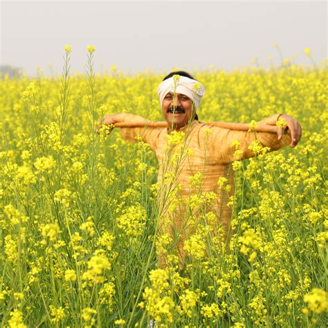 Foss On Linkedin Nir For Better Grain Analytics