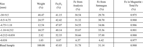 Fractional Magnetite Content Of Size Fractions Download Scientific