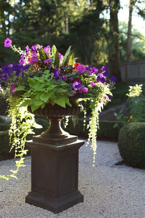 Best Plants To Plant In Urns At Hilton Miller Blog