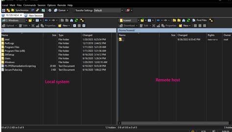 z series move files from one location to another using winscp