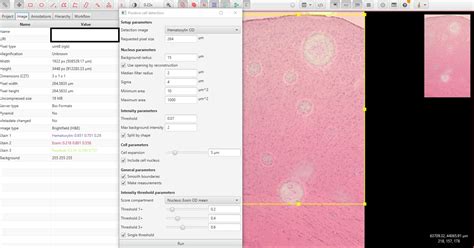 qupath requested pixel size image analysis image sc forum