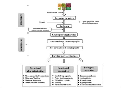 Figure Schematic Representation Of The Extraction Purification And Download Scientific
