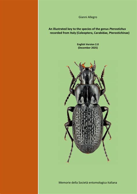Pdf An Illustrated Key To The Species Of The Genus Pterostichus