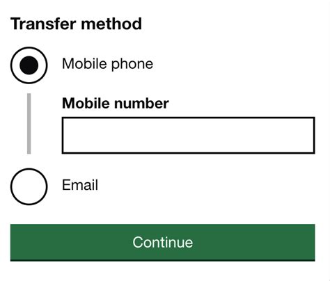 Mobile Application Using A Single Text Field With Auto Type Detection In An App User