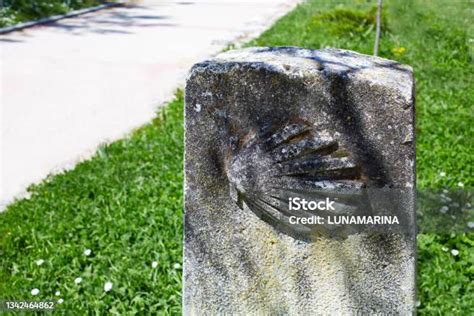 세인트 제임스의 길에 의해 산 후안 드 오르테가 카미노 데 산티아고 0명에 대한 스톡 사진 및 기타 이미지 0명 Xacobeo 가리비 Istock