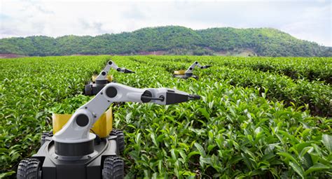 Field Robotic Design Conquering Motion Control Applications In Harsh And Variable Environments