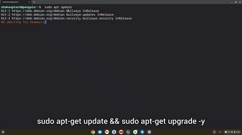 Linux On Chrome OS Set Up And Install Linux Apps