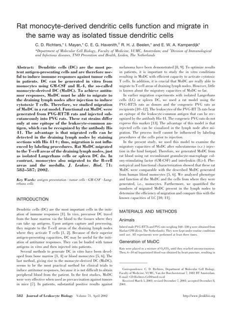 Pdf Rat Monocyte Derived Dendritic Cells Function And Migrate In The Same Way As Isolated