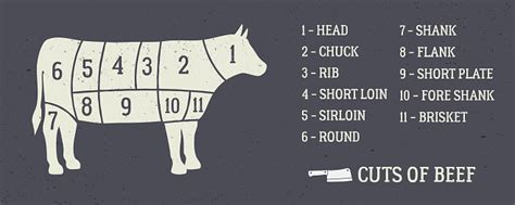 고기 다이어그램 쇠고기의 상처 어두운 배경에 고립 된 암소 실루엣입니다 정육점에 대 한 빈티지 포스터입니다 그런 지 질감입니다 벡터 일러스트 가금류에 대한 스톡 벡터 아트