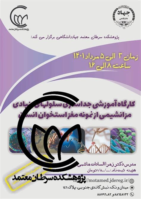 کارگاه آموزشی جداسازی سلول های بنیادی مزانشیمی از نمونه مغز استخوان انسان