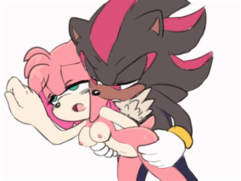 Rule 34 Amy Rose Animated Doggy Style Female  Hedgehog Male Malefemale Penetration Shadow