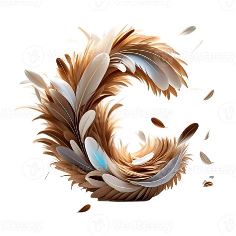 Adobe Illustrator Feather Logo 56997914 Png