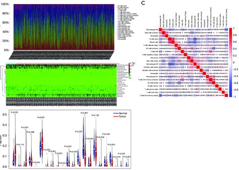 Distribution Characteristics Of Tumor Immune Infiltrating Cells In Download Scientific Diagram