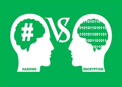 What Is The Difference Between Encryption And Hashing Mindstick Qanda