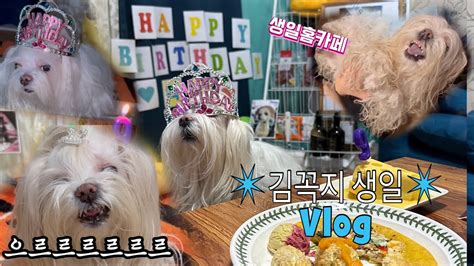 김꼭지 생일 Vlog Youtube