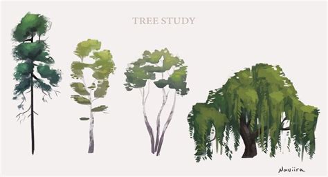 Tree Study Tree Study Tree Sketches Environmental Art