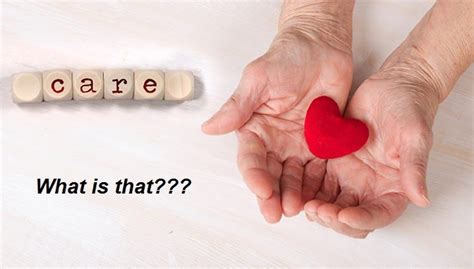 The Socio Functional Essence Of Human Nature