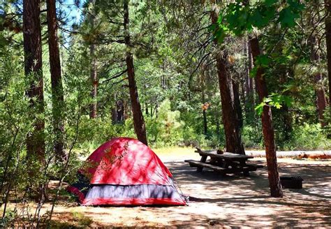 10 Great Big Bear Lake Camping Spots Go Travel California