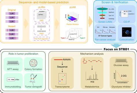 Major Steps Of Ical I Design A Sequence Based Predictor Plirm And