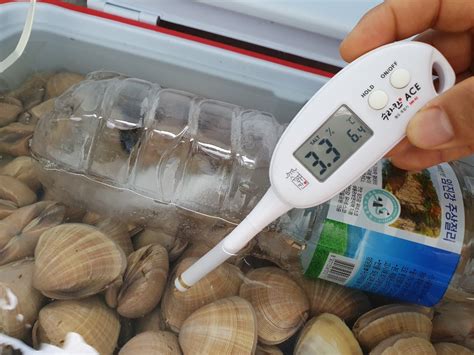 조개 해감방법 해루질넷