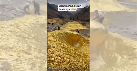 Илт хуурамч бичлэг идэвхжүүлснээр нэг талын мэдээллийн хөөсөнд орох эрсдэлтэй Mfcc