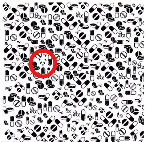 Desafío Visual Monocromático ¿dónde Está El Oso Panda Infobae