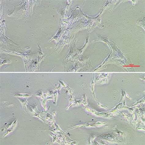 An Example Of Rgb Image With Localized And Recognized Objects Examples