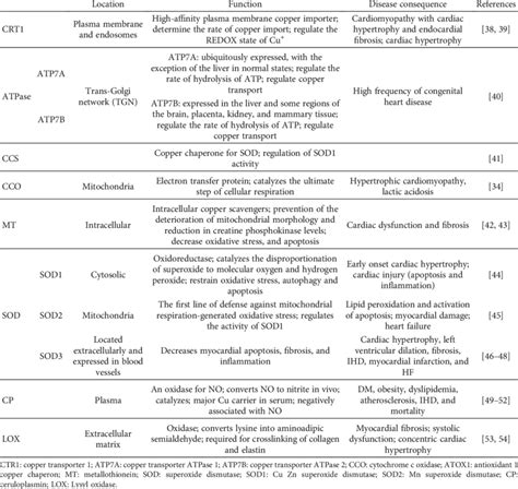Mammalian Copper Dependent Enzymes Download Scientific Diagram