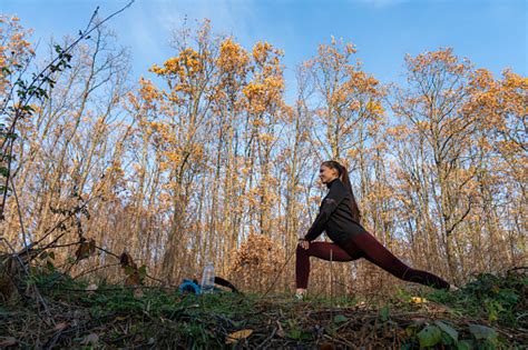 노란 잎 건강한 생활 개념과 가을 숲 중 아사나 요가 운동을 연습 스포츠웨어에서 젊은 슬림 핏 갈색 머리 소녀 나무에 대한 스톡 사진 및 기타 이미지 Istock