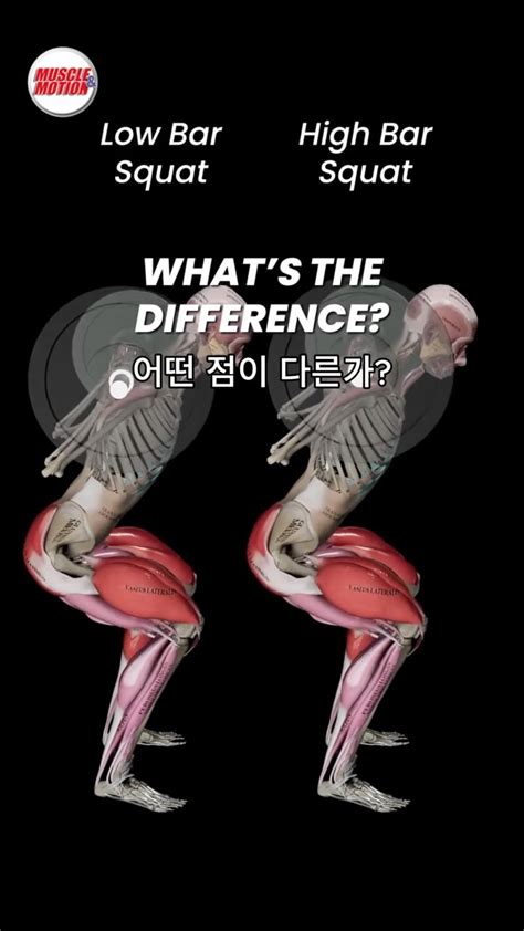 케어 스튜디오 자세로 인햐 발생하는 근육의 가장 큰 문제점🔥 바로 ‘불균형 입니다 이러한 불균형은 특히 관절에서 가장 큰 영향을 미친다고 생각합니다 올바른 자세를