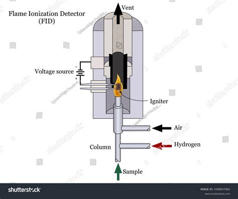Labeled Illustration Flame Ionization Detector Fid Stock Illustration 2598637965 Shutterstock