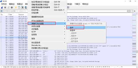 如何使用wireshark软件分析tcp协议 wireshark显示协议 csdn博客